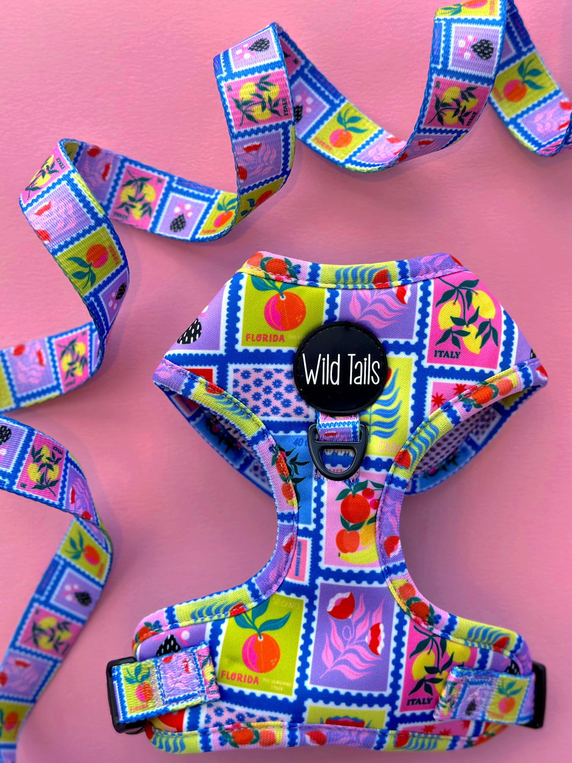 Wild Tails Co dog accessories providing harnesses, leads and collars