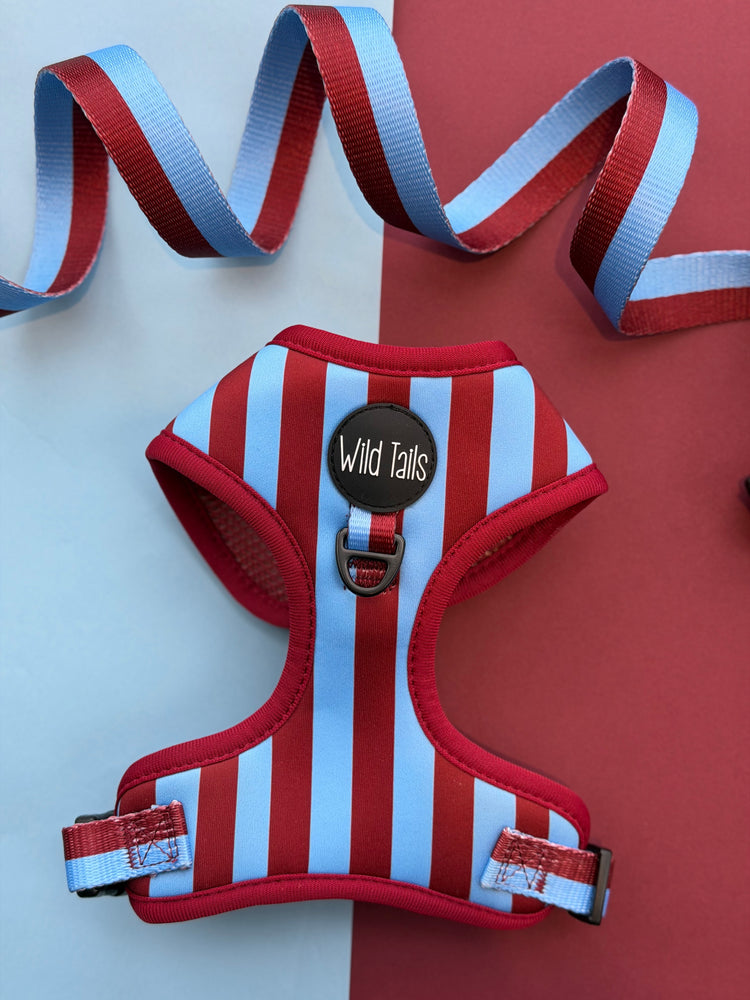 Wild Tails Co dog accessories providing harnesses, leads and collars