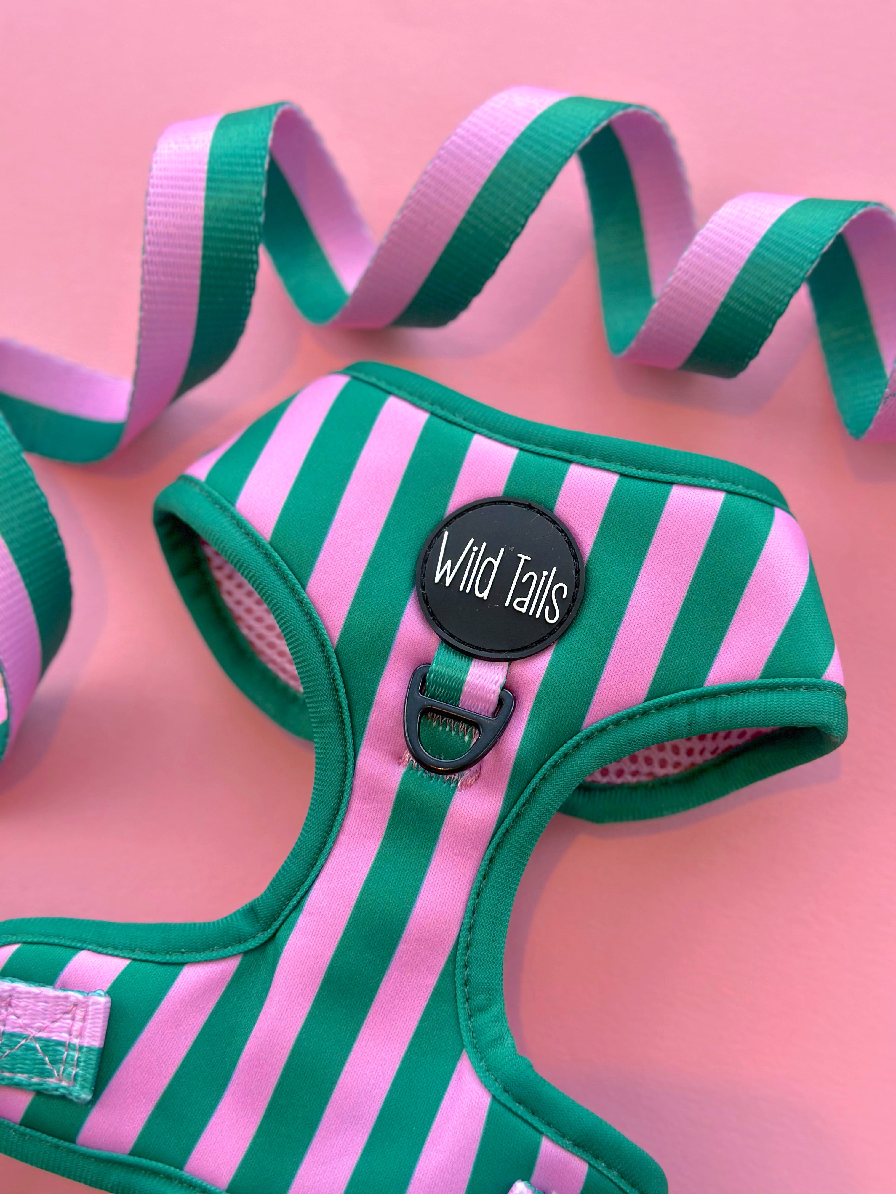 All Decked Out – Wild Tails Co