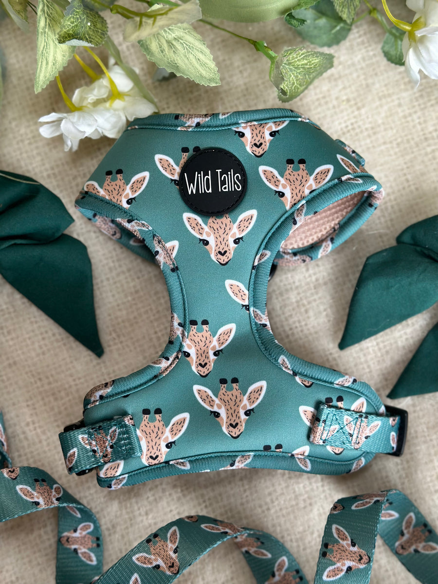 Your Highness – Wild Tails Co