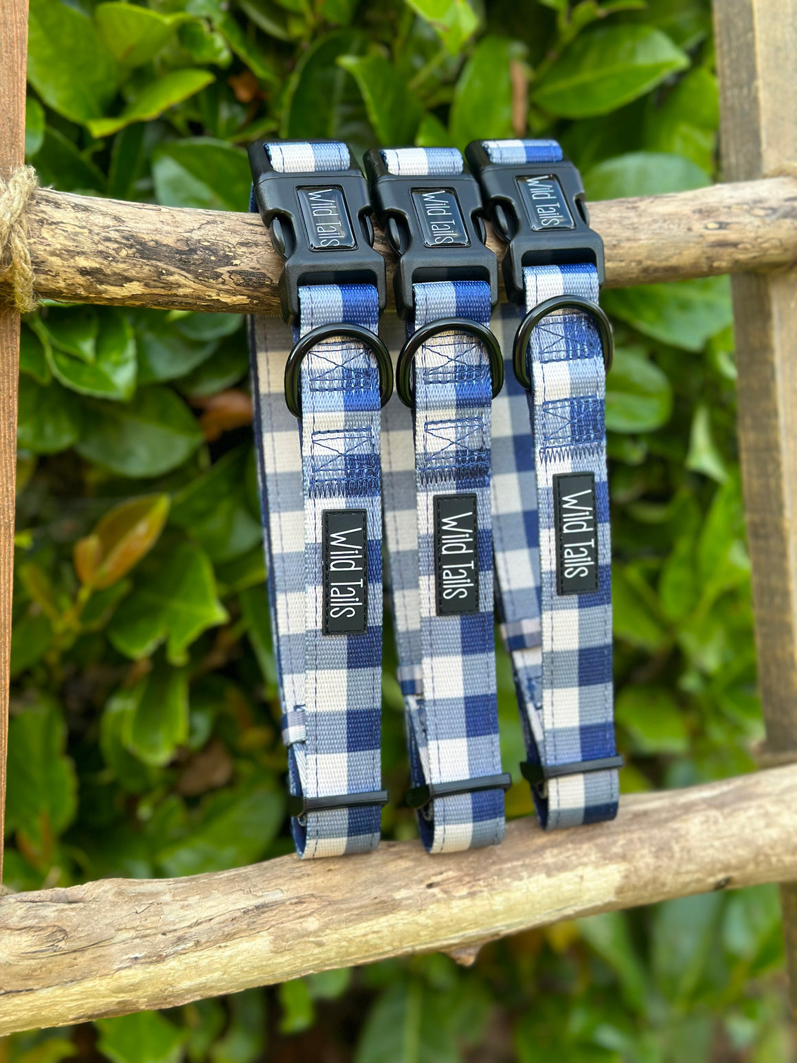 Collars – Wild Tails Co