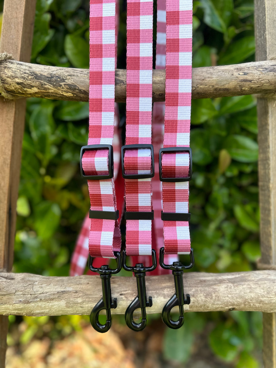 Classic Collection Adjustable Lead Red – Wild Tails Co