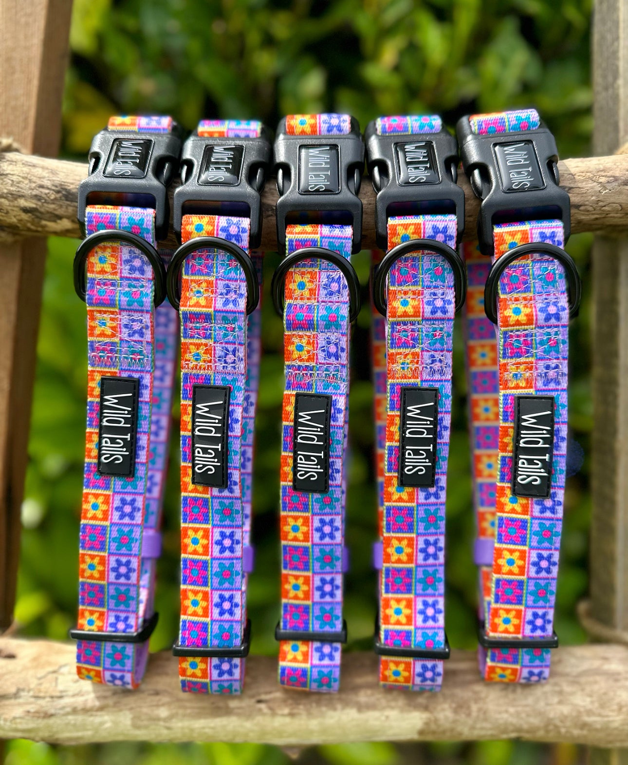 Collars – Wild Tails Co