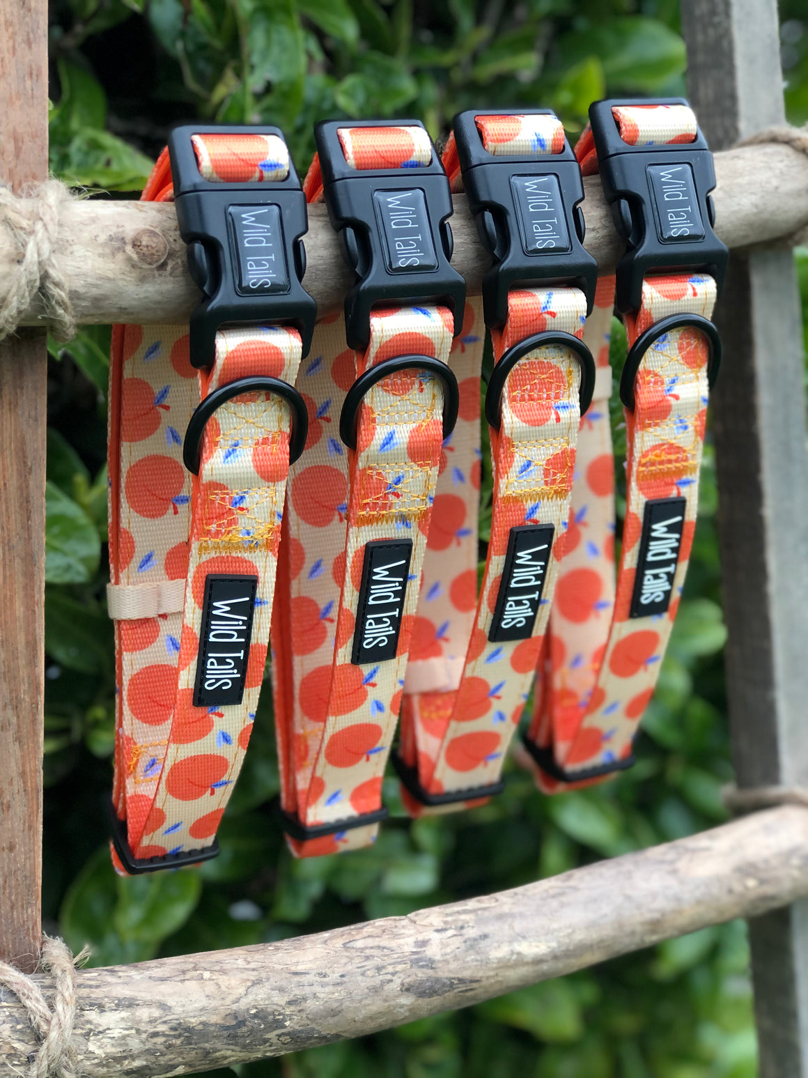 Collars – Wild Tails Co