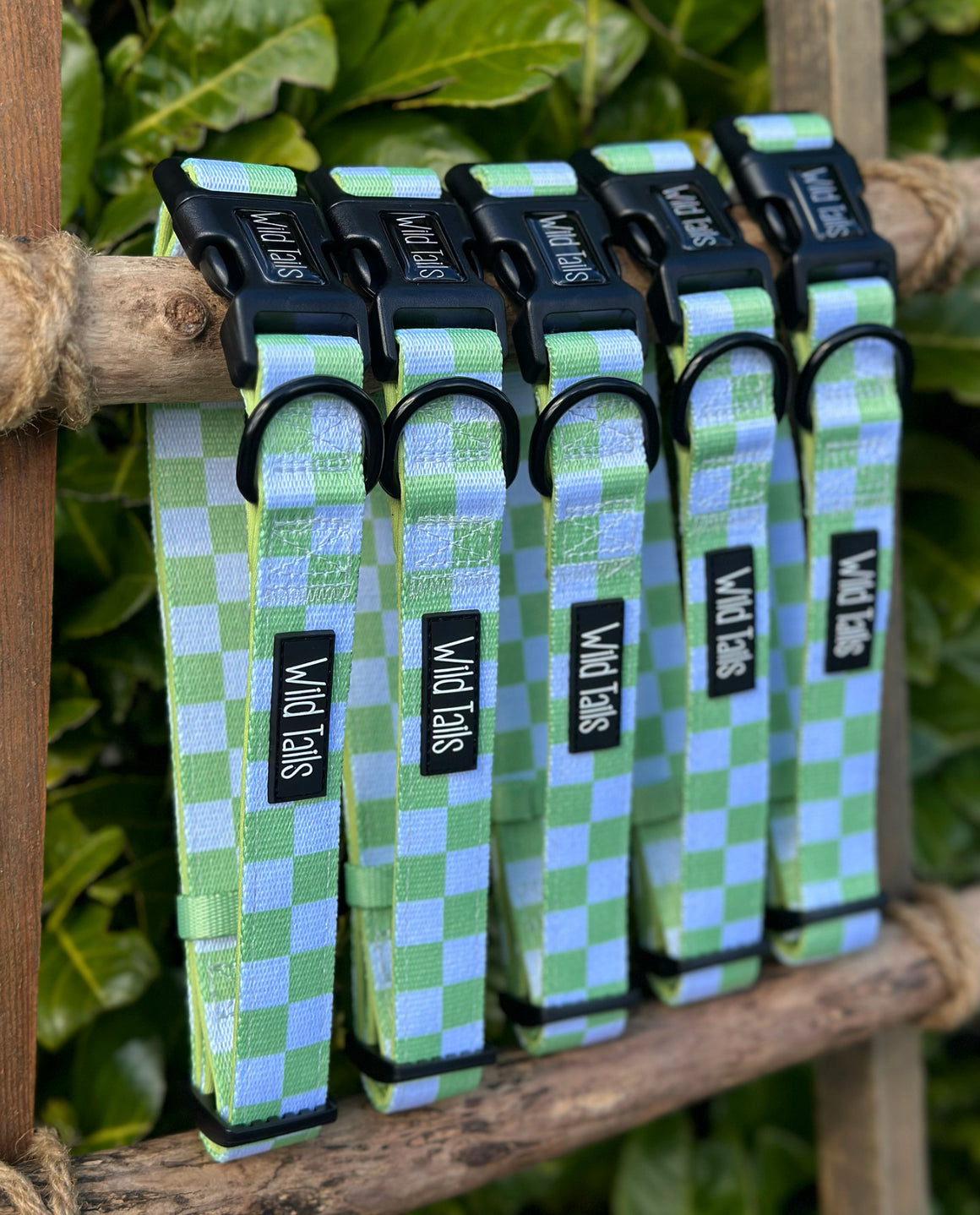 Collars – Wild Tails Co