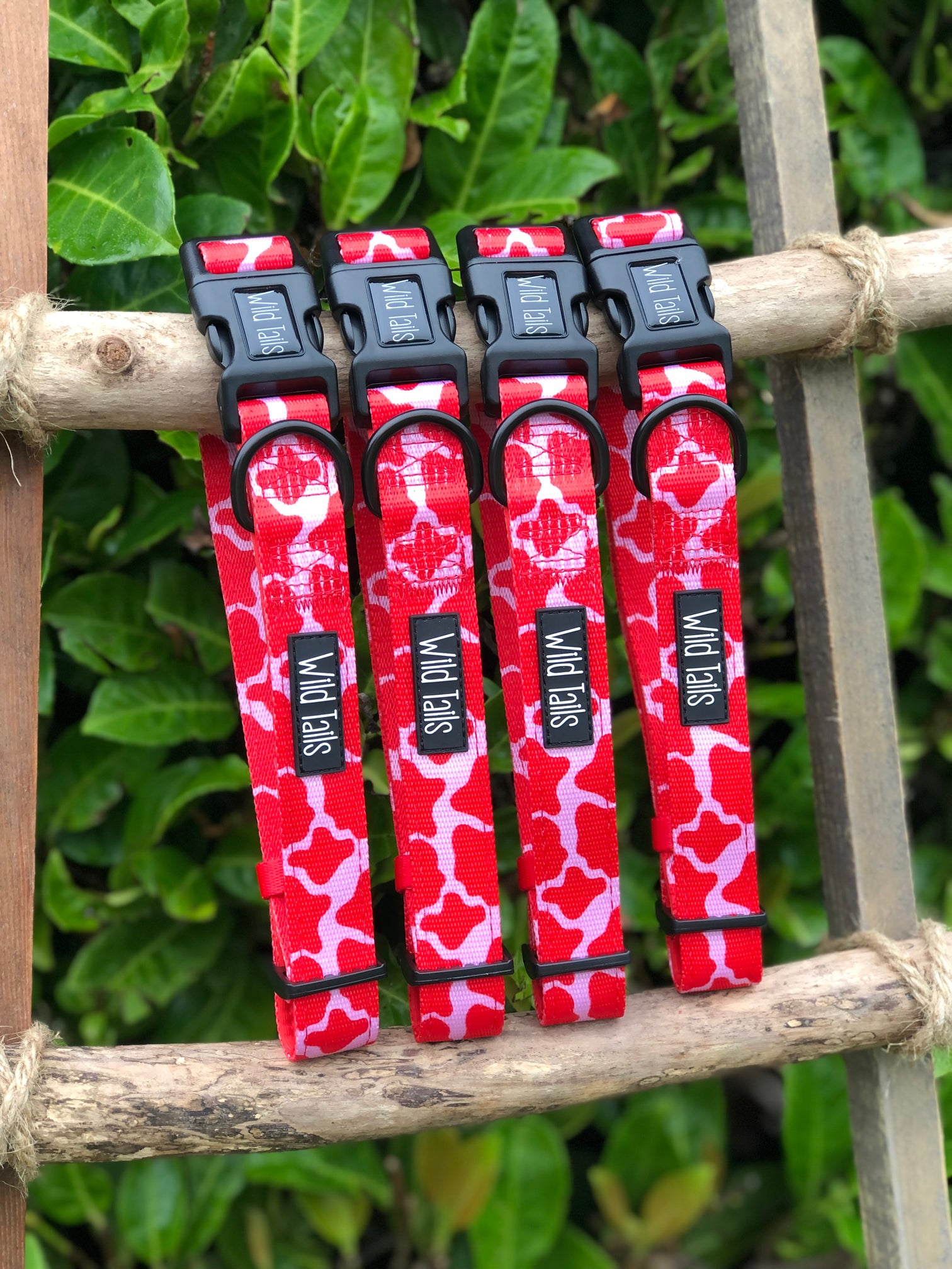 Collars – Wild Tails Co