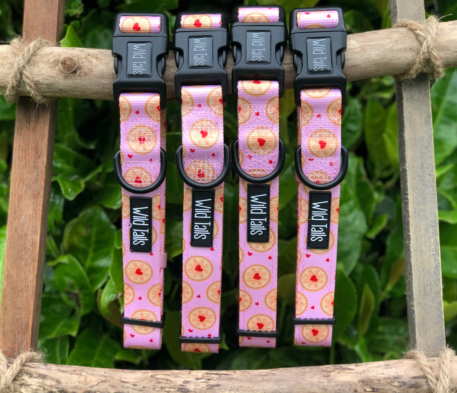 Collars – Wild Tails Co